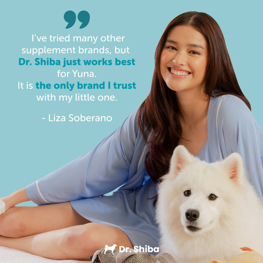 All-Natural & Healthy Dog Snacks - Happy Tummy | dr-shiba.com – Dr Shiba Supplement Treats SG