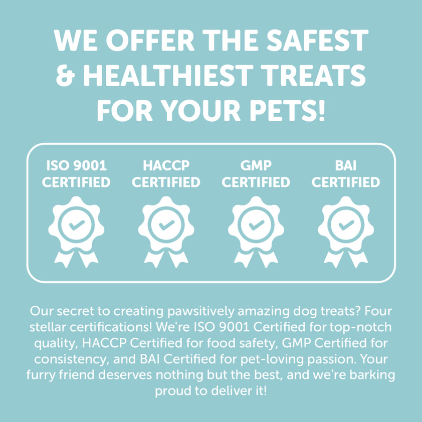 All-Natural & Healthy Dog Snacks - Happy Tummy | dr-shiba.com – Dr ...