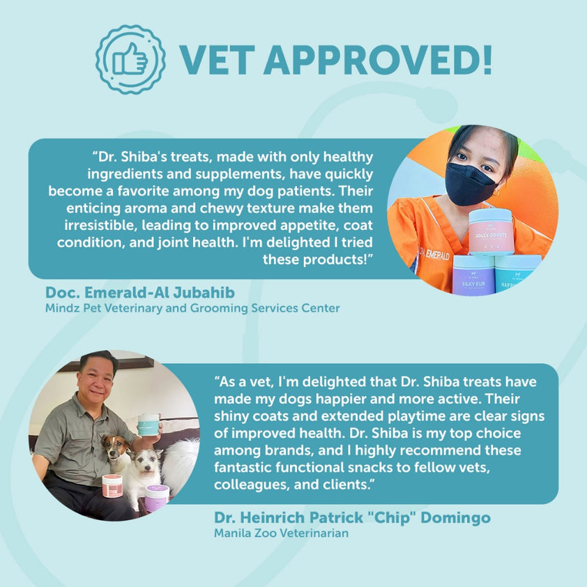 All-Natural & Healthy Dog Snacks - Happy Tummy | dr-shiba.com – Dr Shiba Supplement Treats SG