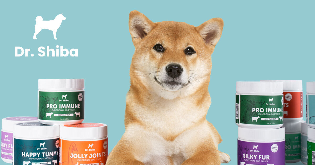 Dr. Shiba | dog supplements packed into treats - healthy and yummy – Dr ...